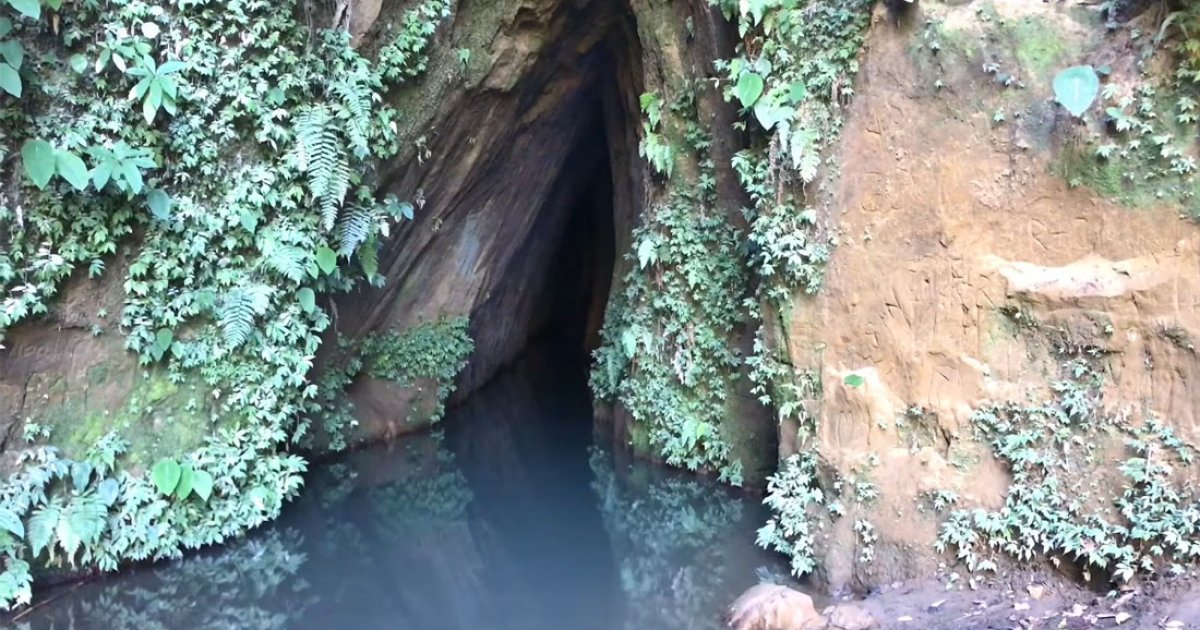 টেকনাফে অটোরিকশা থামিয়ে ৪ যাত্রীকে অপহরণ